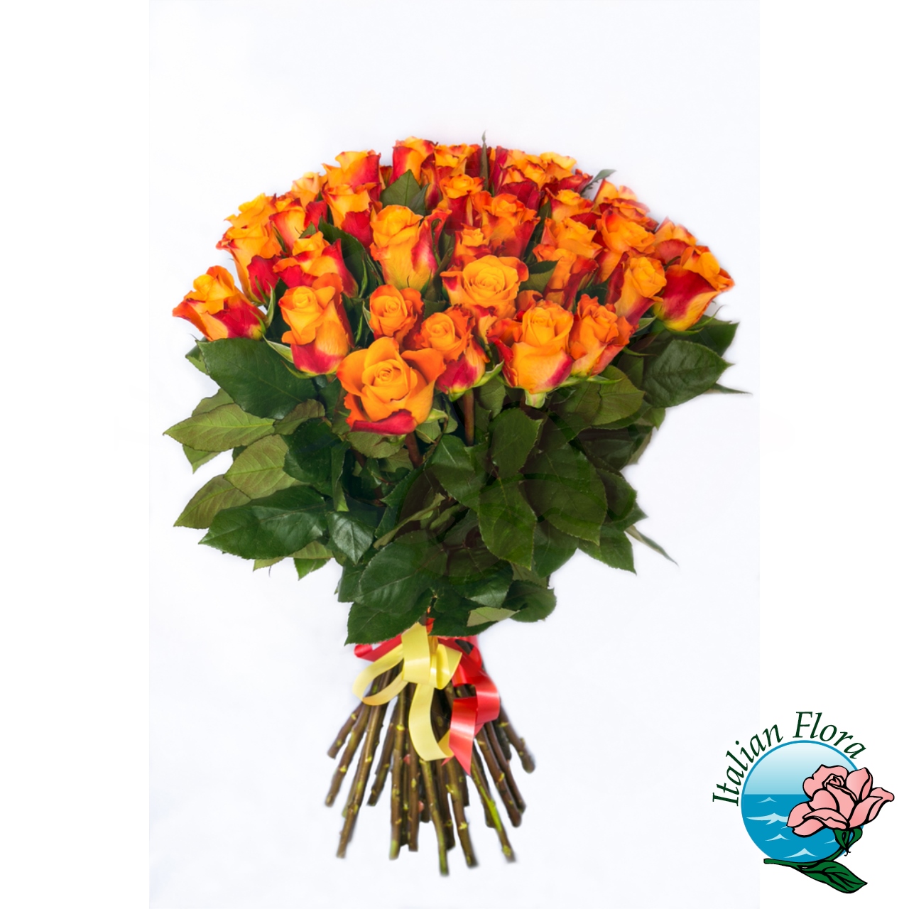 24 Rose arancio
