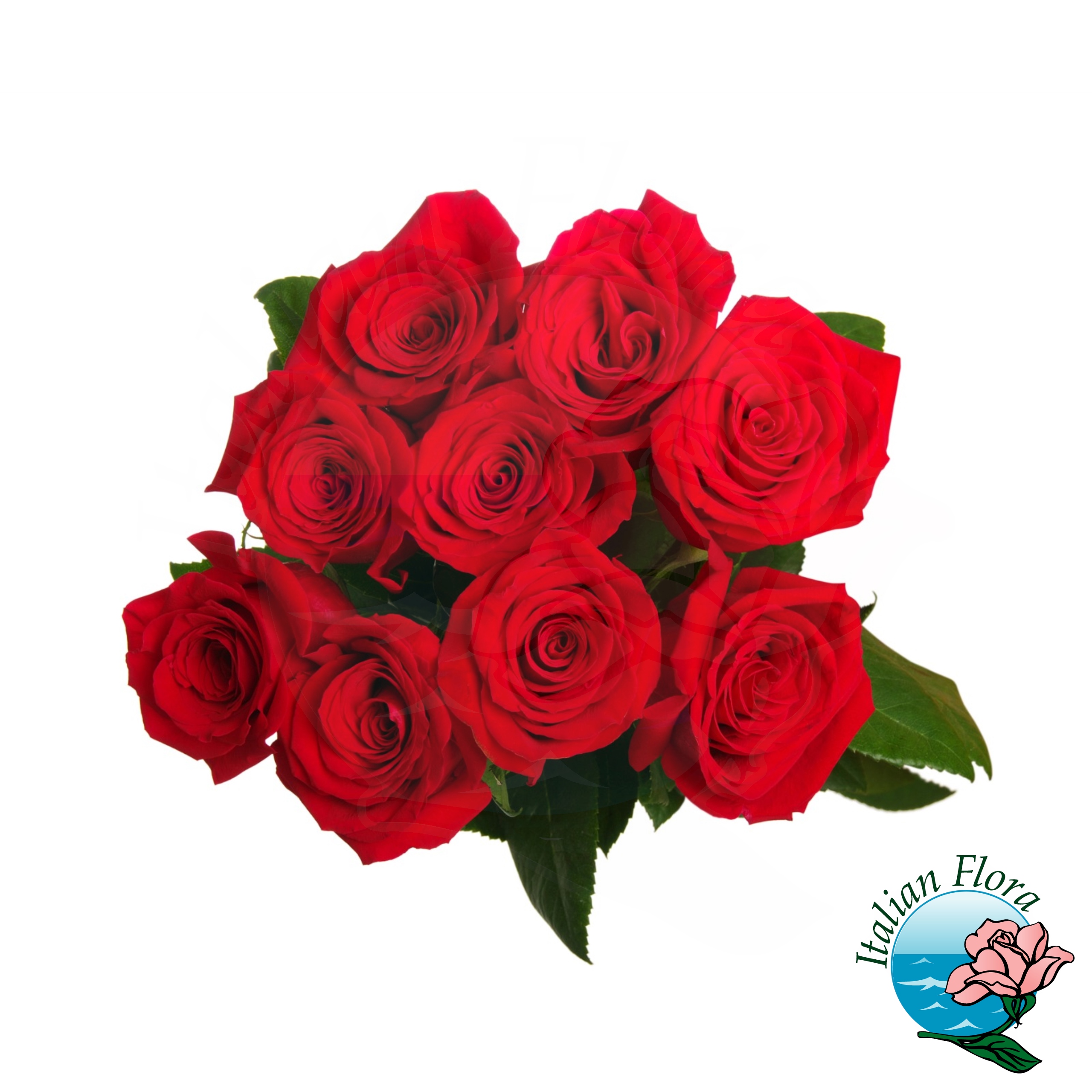 Bouquet di rose rosse