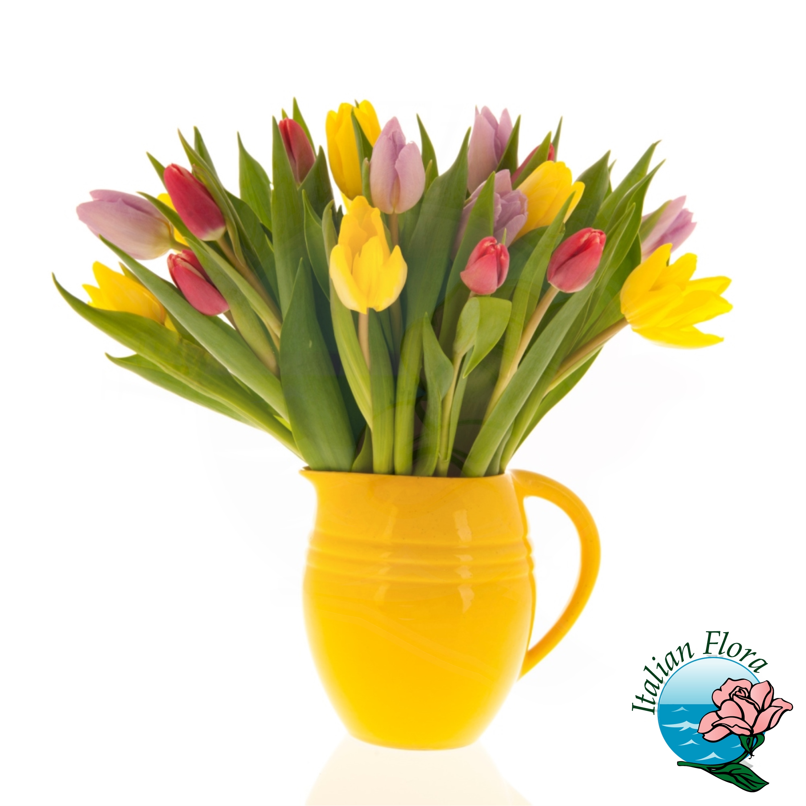 Tulipani colorati